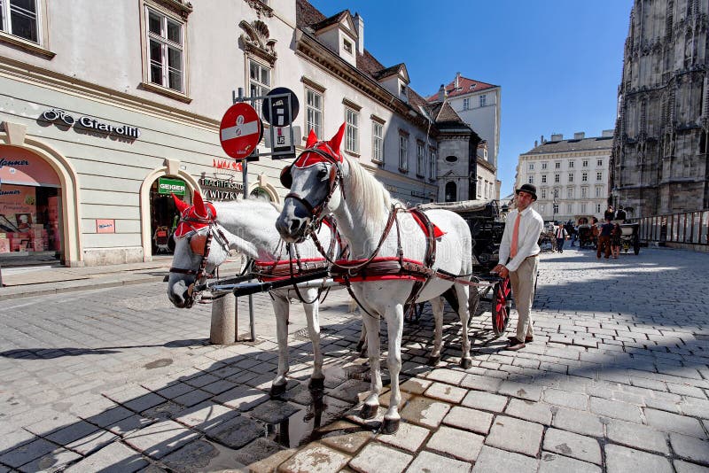 Carrozza a Cavalli Alla Cattedrale, Stephansplatz - Il Quadrato ...