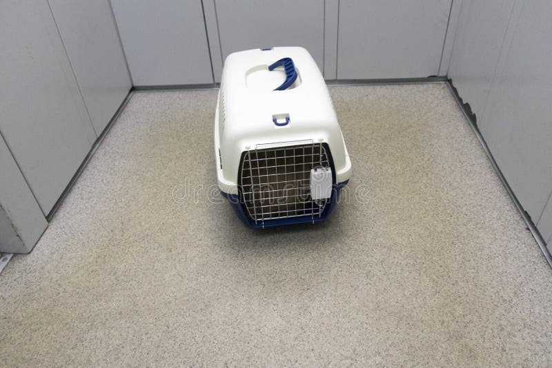 Animals Elevator Stock Photos - Free & Royalty-Free Stock Photos from ...