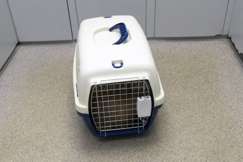 Animals Elevator Photos - Free & Royalty-Free Stock Photos from Dreamstime