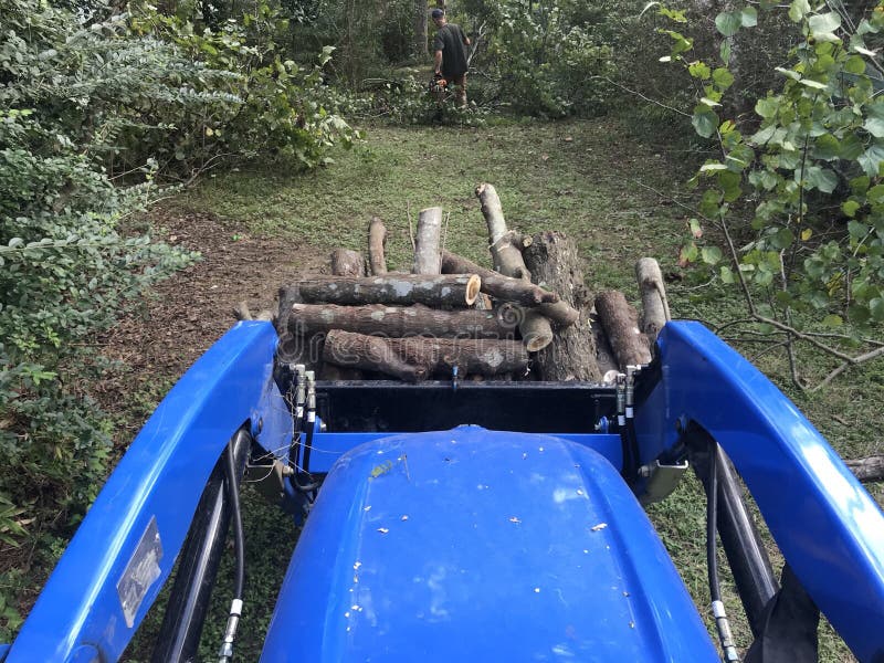 Carrying Cut Wood in Tractor Front End Loader Stock Photo - Image of ...