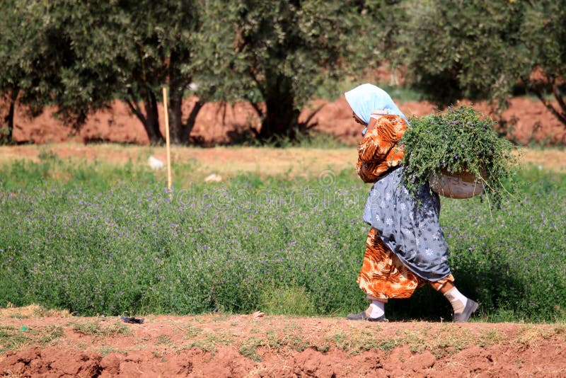 Carrying heavy load editorial photo. Image of crop, carry - 24439891