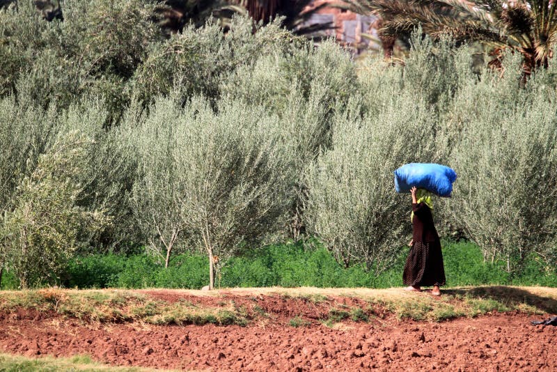 Carrying heavy load editorial photo. Image of agricultural - 24439961
