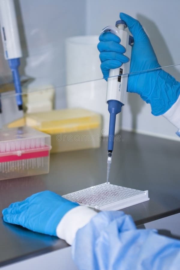 Carrying Out the ELISA Test Stock Photo - Image of close, background ...