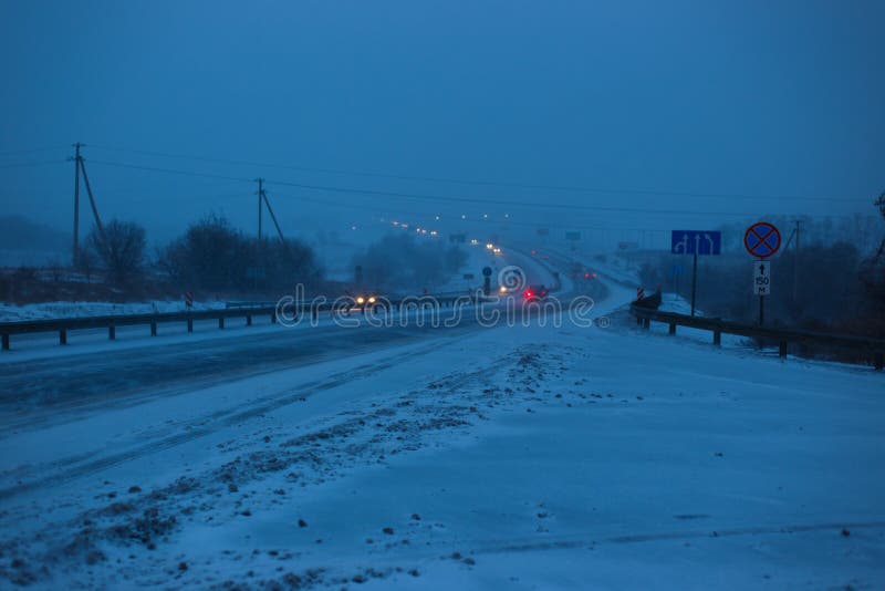 Snowstorm Evening with Pine Tree Lit Up Covered in Snow Stock Photo ...
