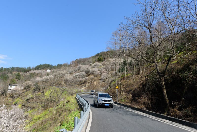 Cars Driving through a Curvy Mountain Road Editorial Stock Photo ...