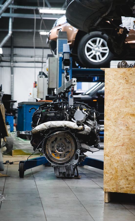 Cars at modern car service stock photo. Image of examining - 191106238