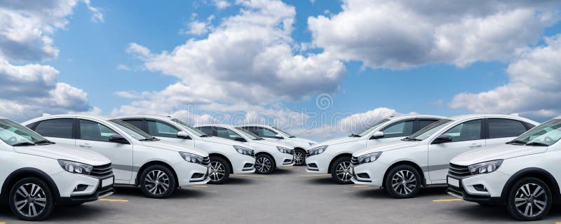 Cars in a row stock photo. Image of parked, auto, market - 270390090