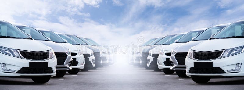 Cars in a Row. Used Car Sales. Stock Photo - Image of transportation ...