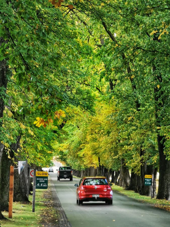 Cars on a rural alleyway editorial stock image. Image of cars - 246022724