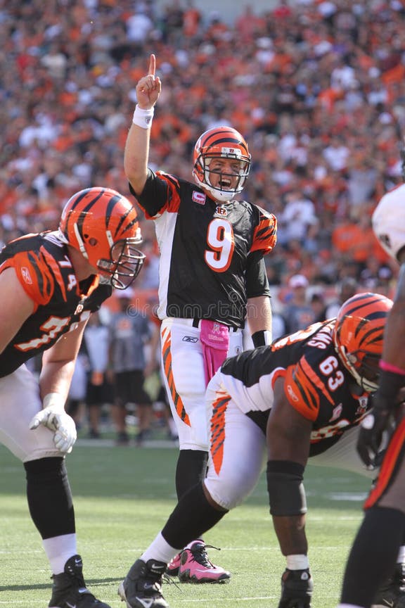 Carson Palmer editorial photography. Image of national - 186909902