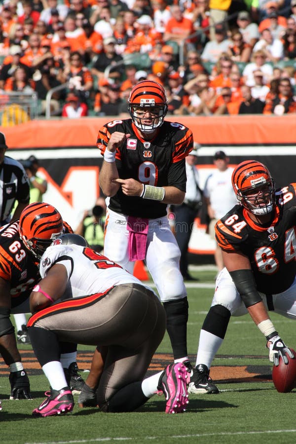 Carson Palmer editorial photo. Image of pass, carson - 173557001