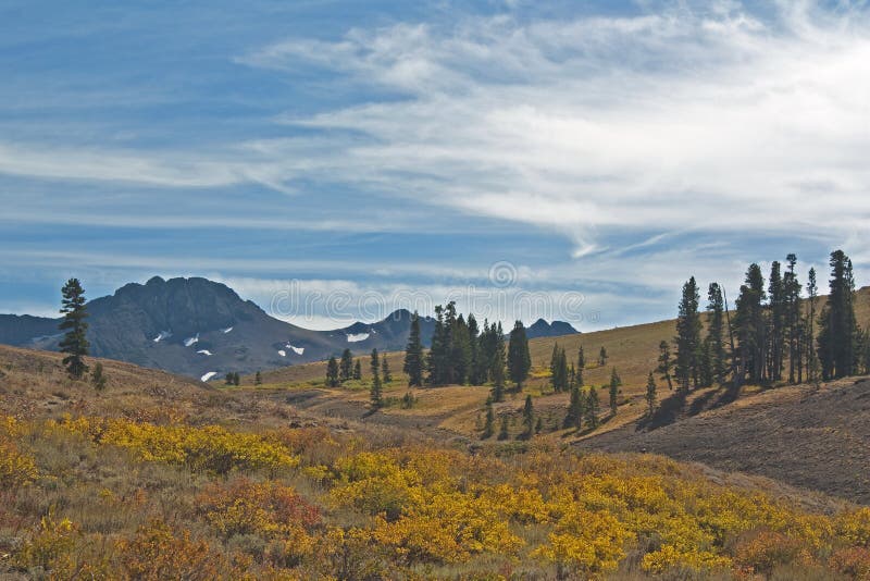 Carson Pass stock image. Image of scenic, trail, backpacking - 12169111