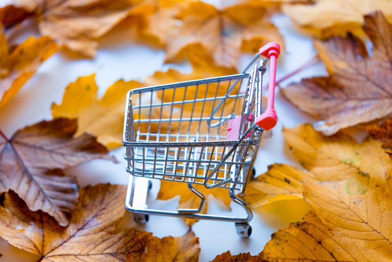 Cart with Autumn Maple Leaves Stock Image - Image of autumn, fall: 79643189