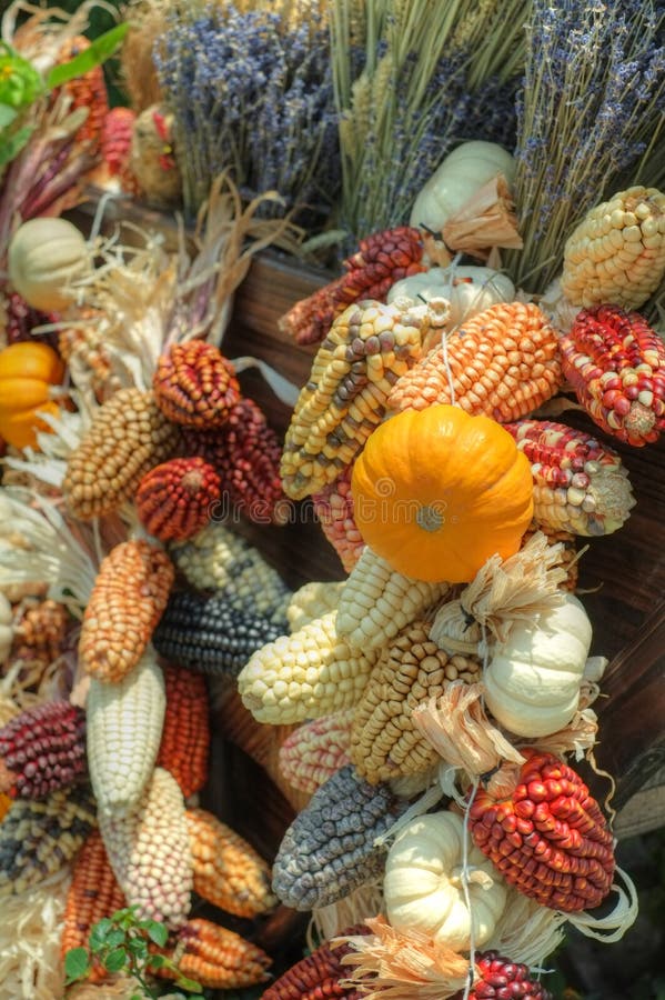 A Bountiful Autumn Harvest stock photo. Image of lush - 27051084