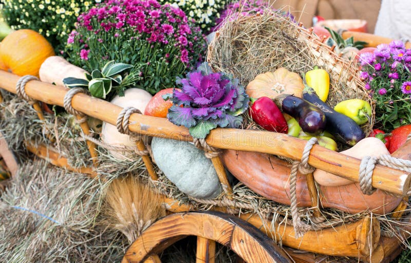 Cart with harvest stock image. Image of trolley, agricultural - 127829705