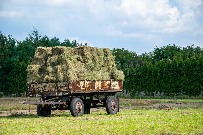 A Cart with Hay, a Farm Trailer with Hay in the Meadow Stock Image ...