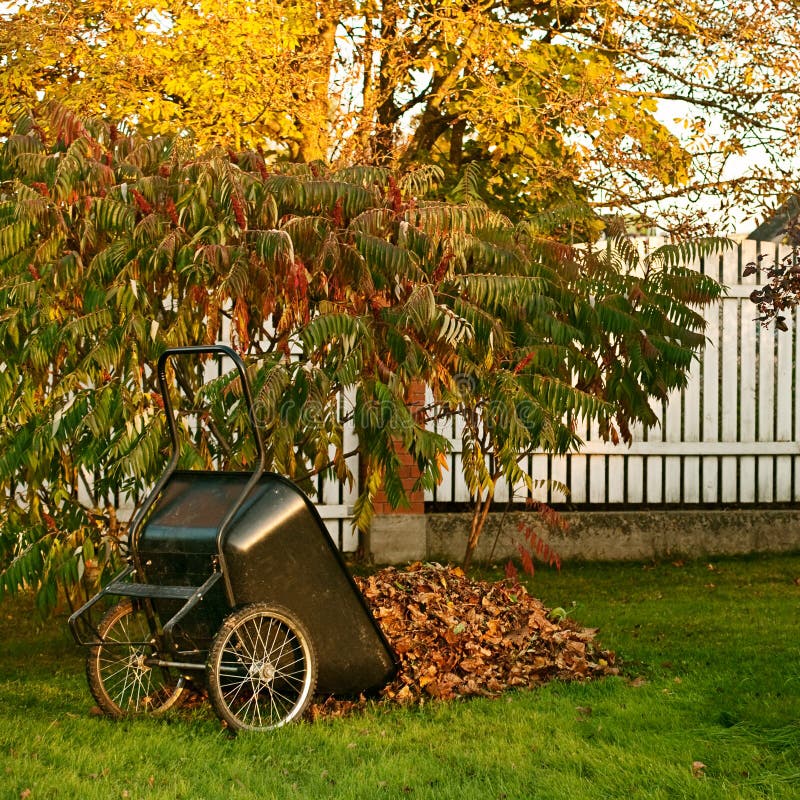 Cart with leaves stock image. Image of activity, pile - 27628847