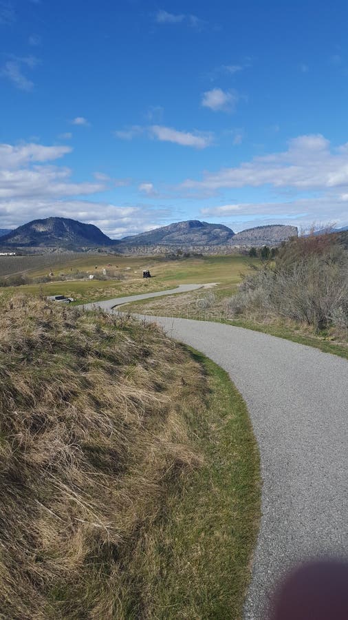Cart path stock photo. Image of okanagan, valley, path - 73664958