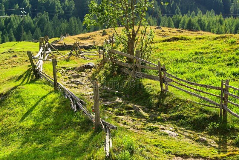 Cart track stock image. Image of lane, grass, fence, tree - 49794981