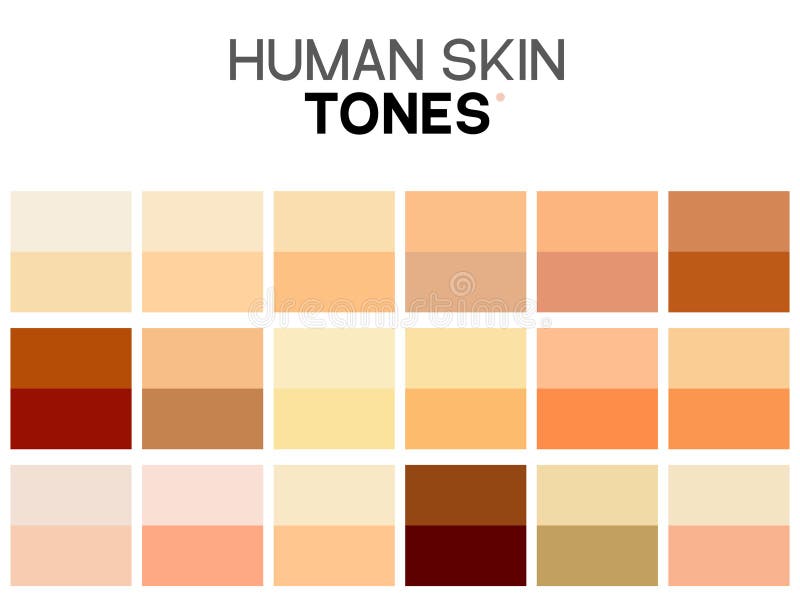 Vector De La Paleta De Colores De Los Tonos De Piel Ilustración Del
