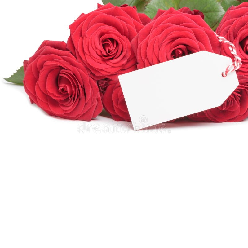 Carte avec des roses photo stock. Image du fermer, message - 102346822