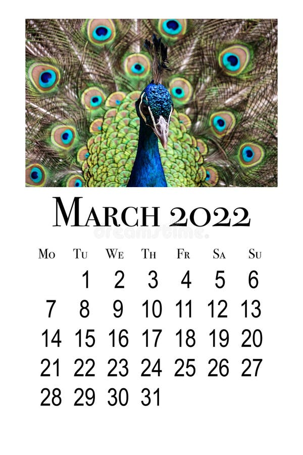 Carte Calendrier Pour Mars 2022 Illustration Stock - Illustration du ...
