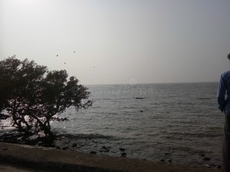 Carter Road Mumbai Evening Sea Stock Image - Image of road, evening ...