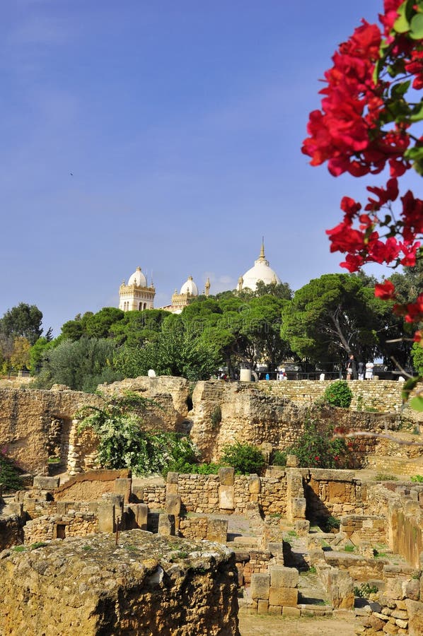 150+ Carthage Free Stock Photos - StockFreeImages