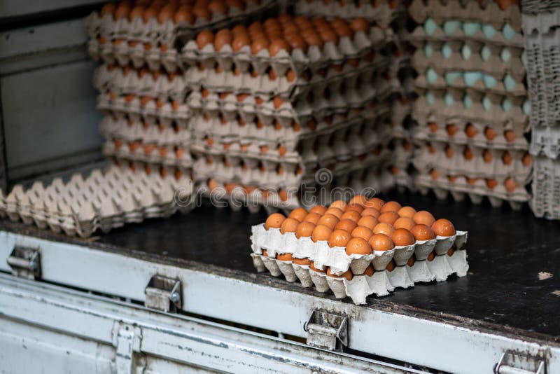 Carton Box with Eggs on a Table Stock Photo - Image of package, eggs ...