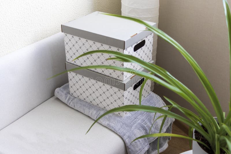 Carton Boxes Stacked in the Couch in Cozy Room. Household Stock Photo ...