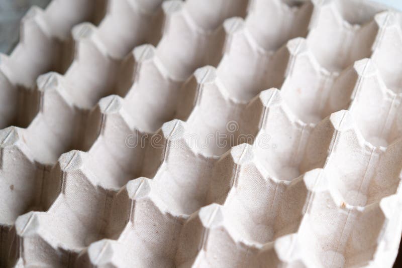 Carton with Cells without Eggs Stock Image - Image of front, pack ...