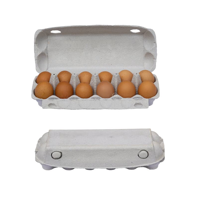Carton Container for Egg, Box Mockup, Stock Image - Image of farm ...