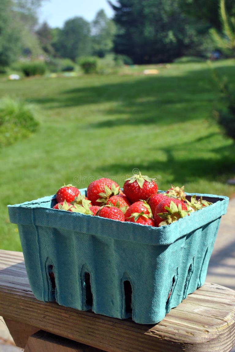 582 Strawberry Carton Stock Photos - Free & Royalty-Free Stock Photos ...