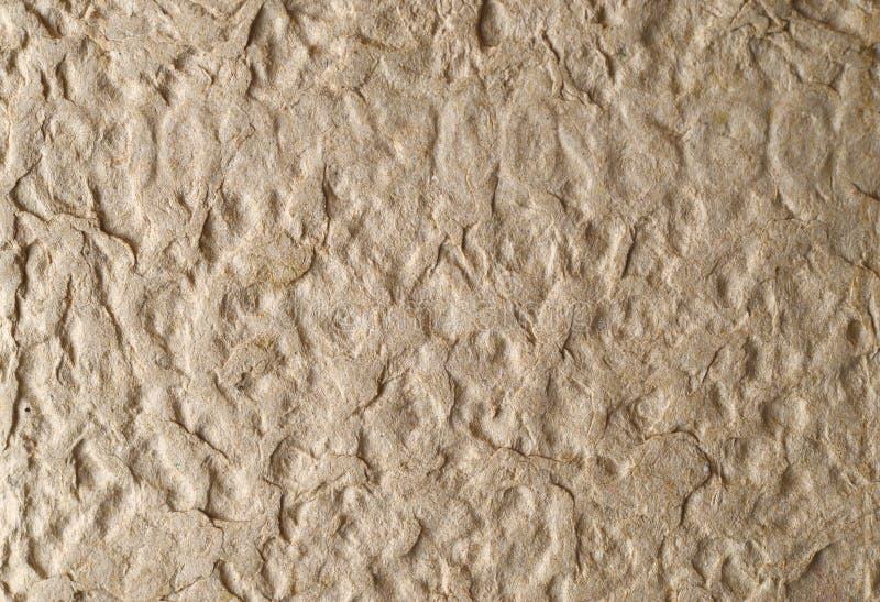 Imballaggio Riciclato Del Cartone Immagine Stock - Immagine di colore ...