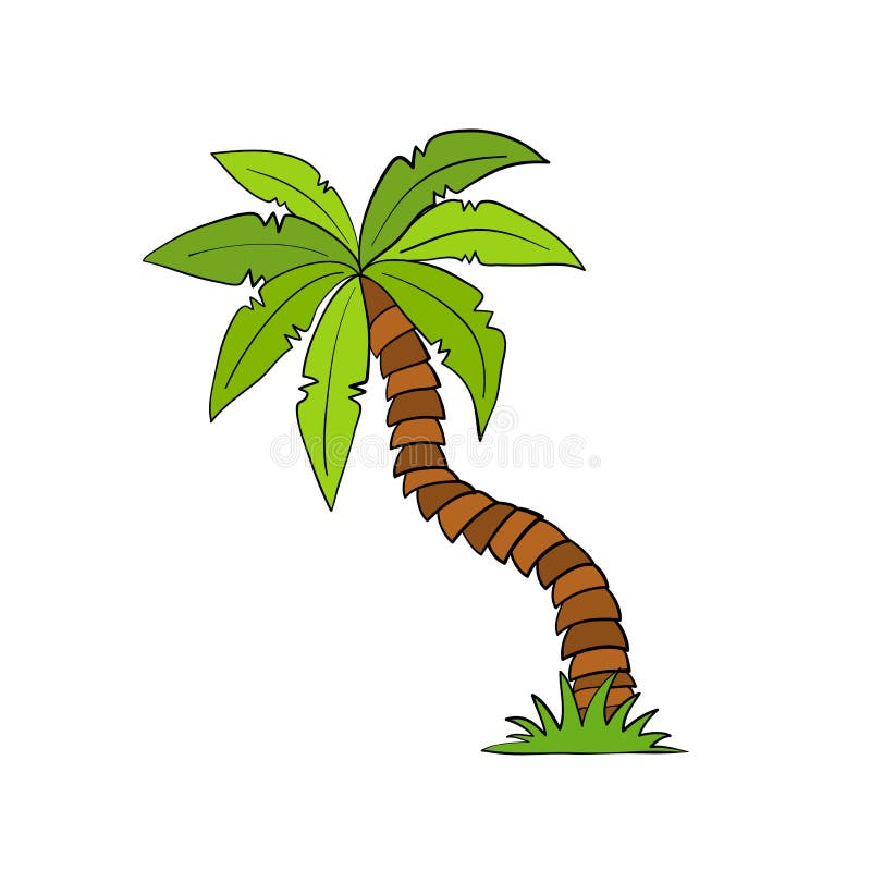 Cartoom Hand Draw Coconut Palm Tree Stock Vector - Illustration of ...