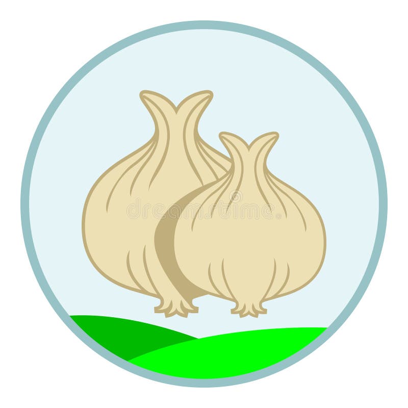 Cartoon garlic stock vector. Illustration of logo, flat - 258209773