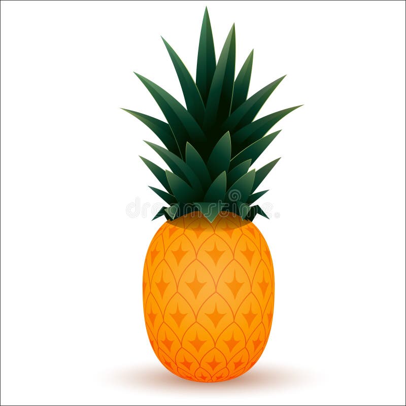 Ananas Stock Illustrations – 9,566 Ananas Stock Illustrations, Vectors ...