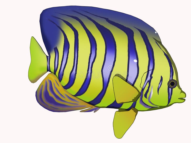 Cartoon Angelfish stock illustration. Illustration of underwater - 5109528