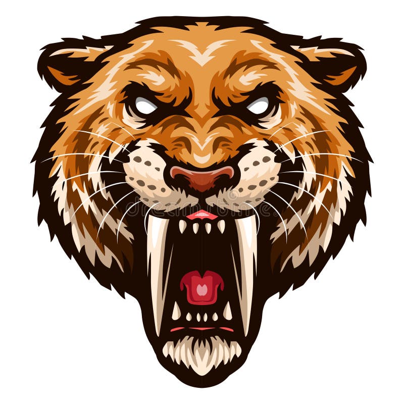 Cartoon Angry Tiger Head Mascot Stock Vector - Illustration of anger ...
