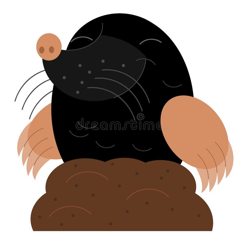 Mole Animal Cartoon