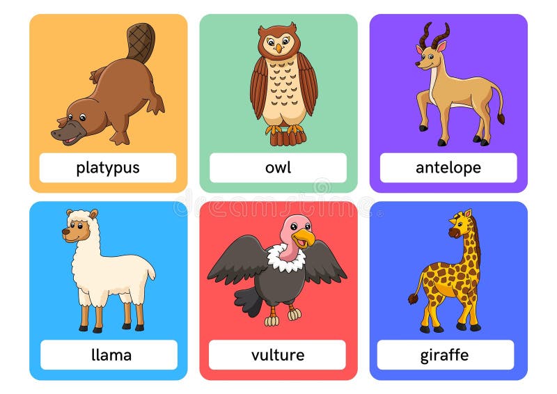 Cartoon Animals Flashcards - 14 Stock Illustration - Illustration of ...