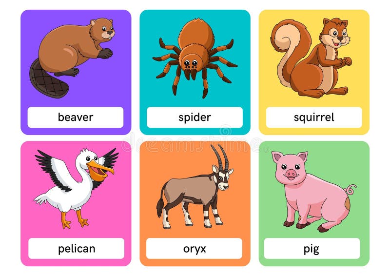 Cartoon Animals Flashcards - 9 Stock Illustration - Illustration of ...