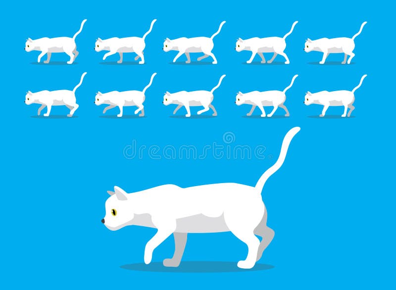 Animal Animation Sequence White Cat Cartoon Vector Stock Vector ...