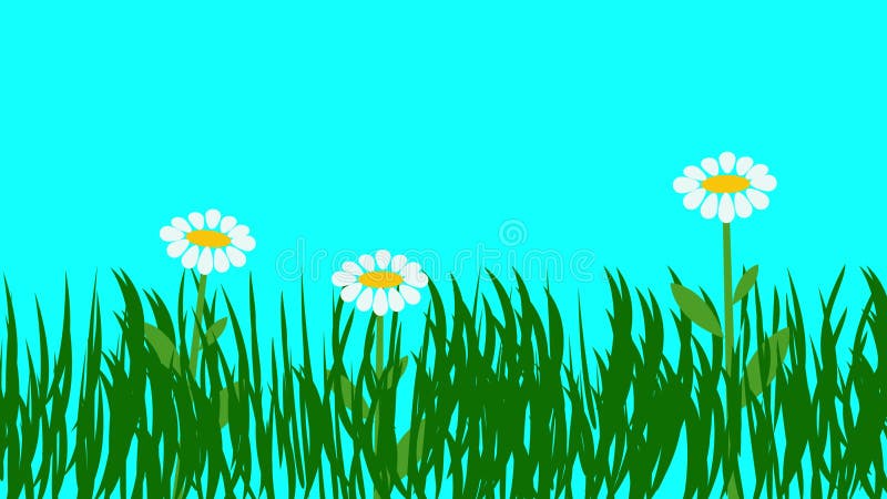 Animation of Flowers on Green Screen, Graphic Source Element Stock ...