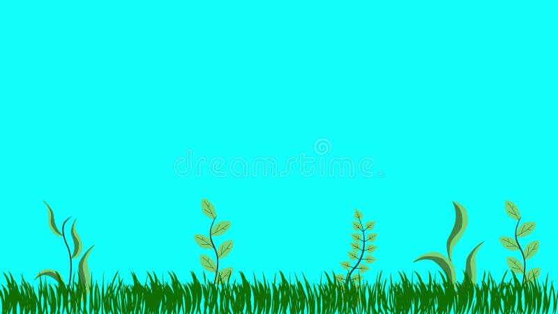 Animation of Flowers on Green Screen, Graphic Source Element Stock ...