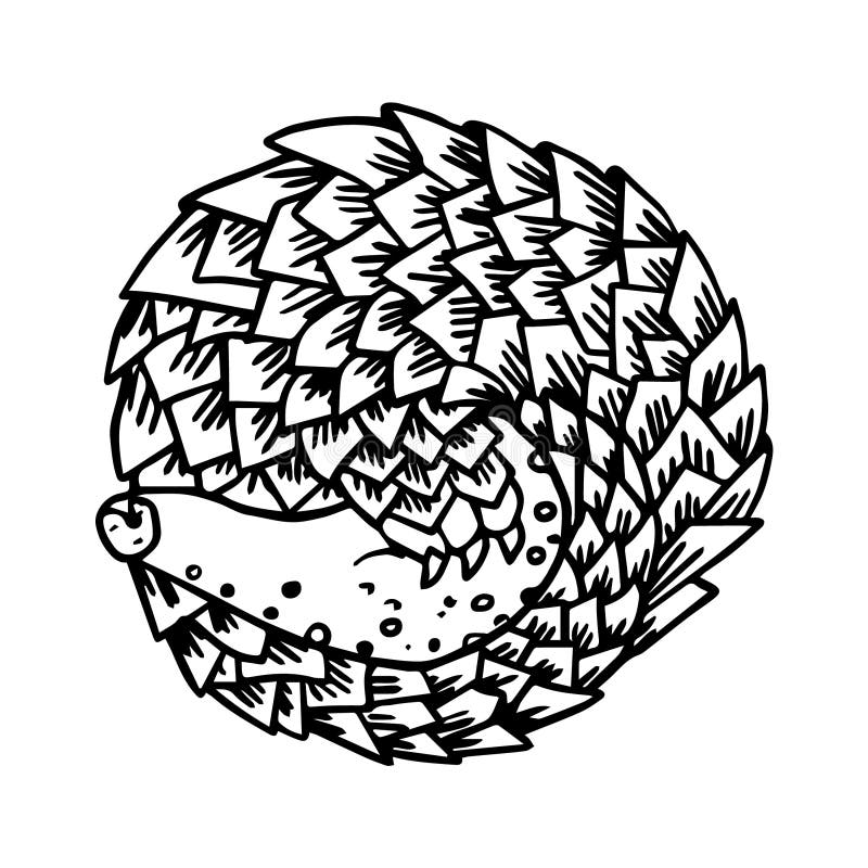 Armadillo Ball Drawing