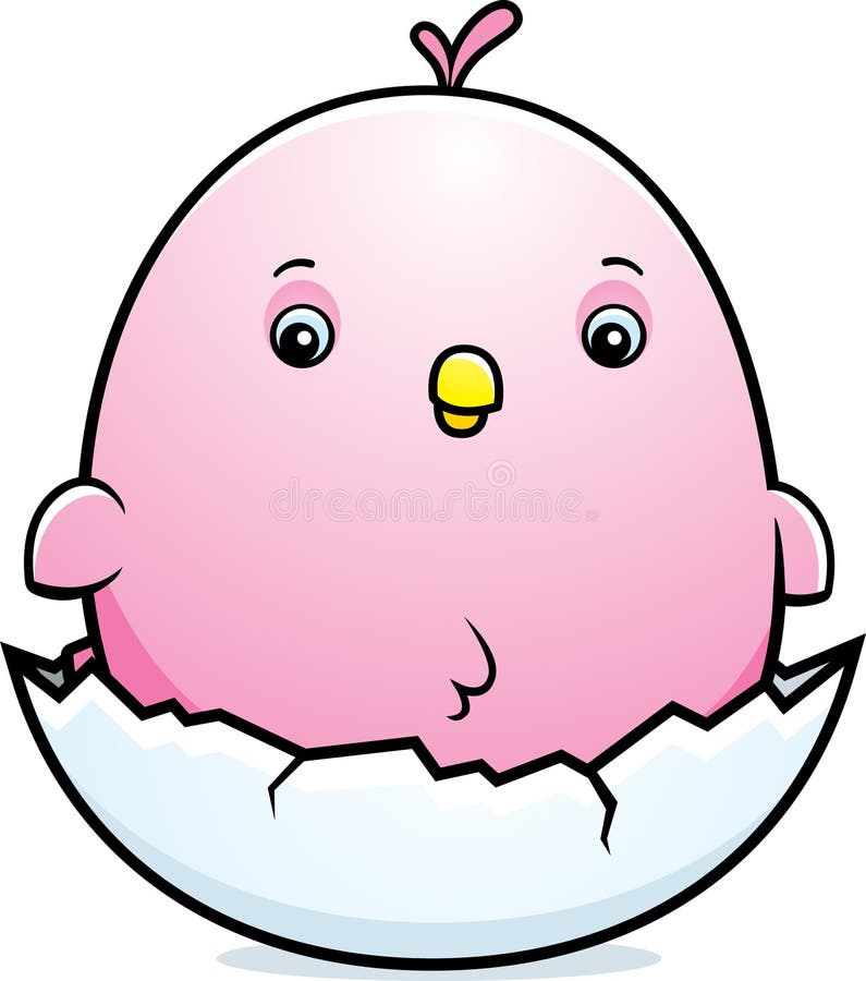 Cartoon Baby Pink Parakeet Egg Stock Vector - Illustration of animal ...