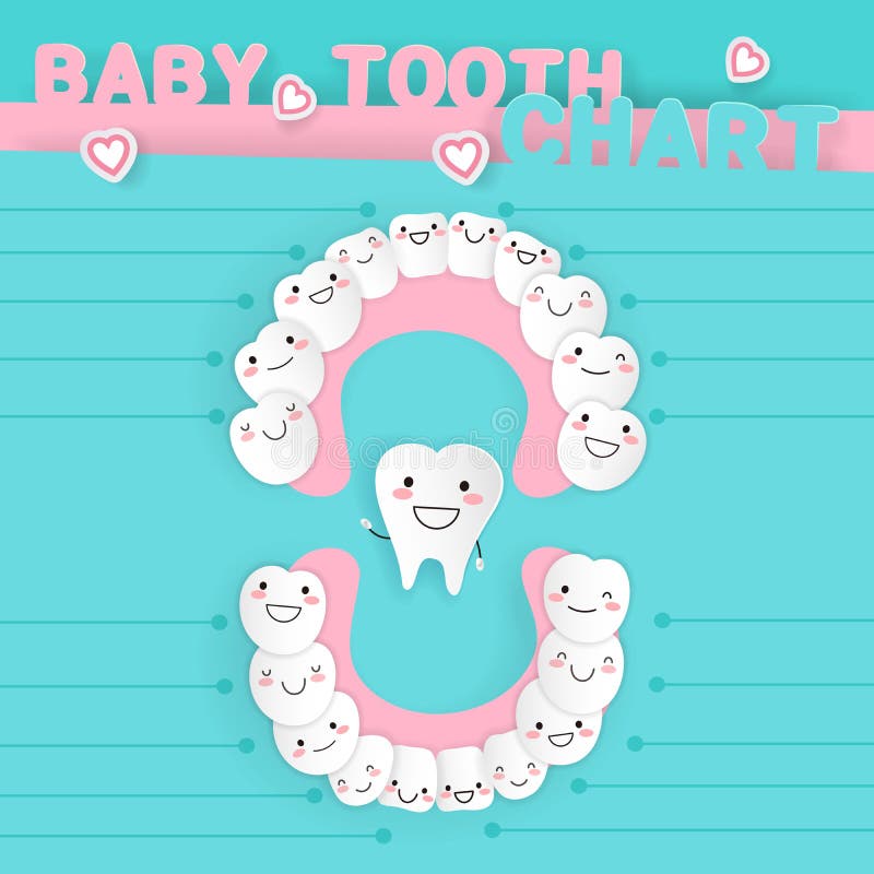 Cartoon Baby Tooth Eruption Chart Stock Vector - Illustration of dental ...