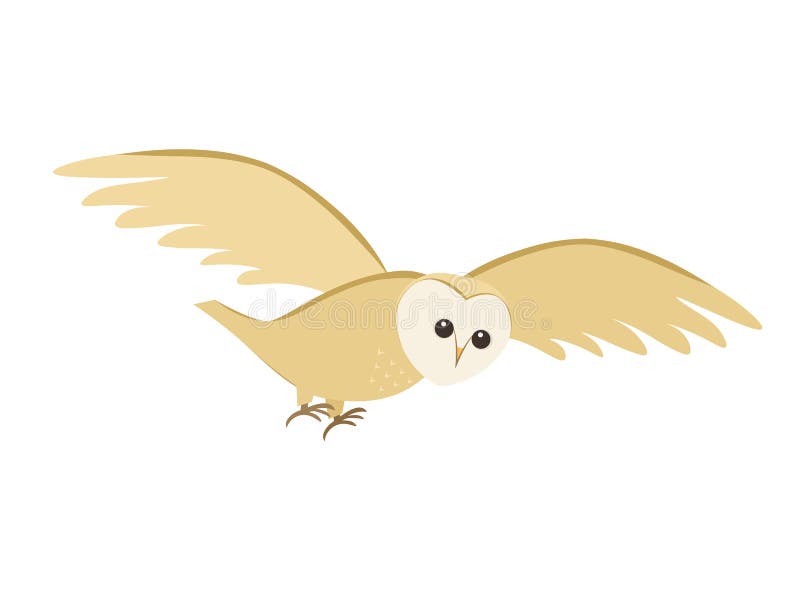 Cartoon Barn Owl stock vector. Illustration of nature - 118938413