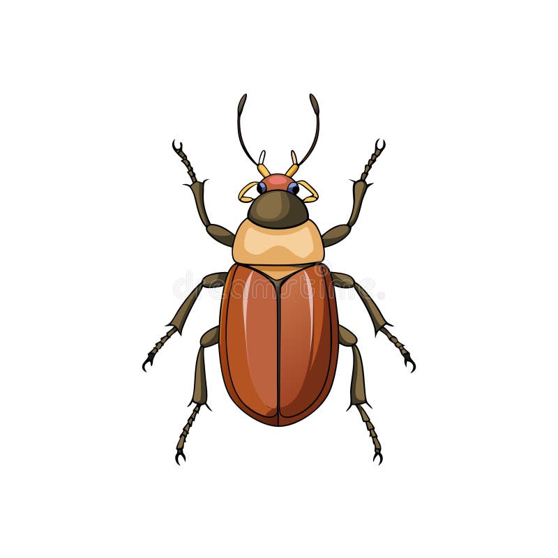 Cartoon Beetle Illustration on a White Background Stock Image ...